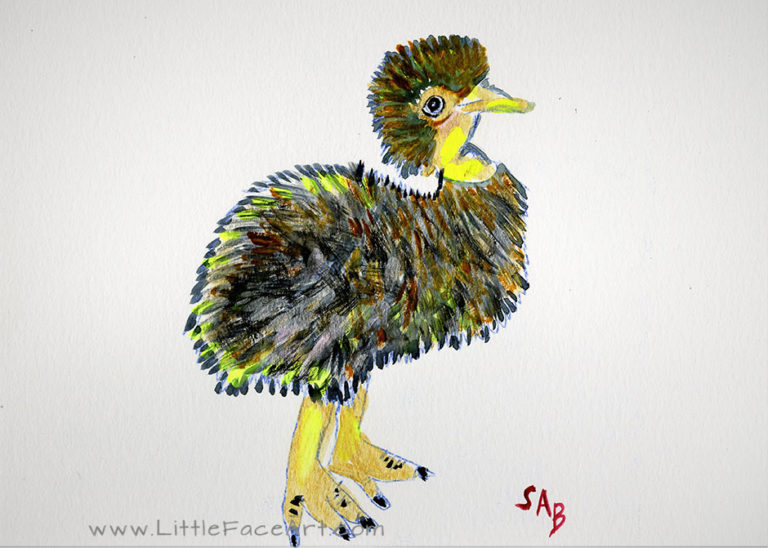 Baby Emu – Little Face Art